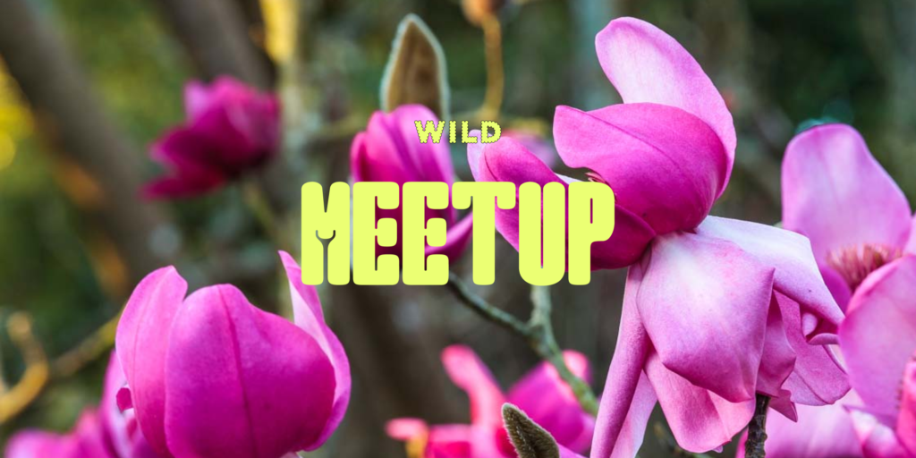 Events – AIGA San Francisco